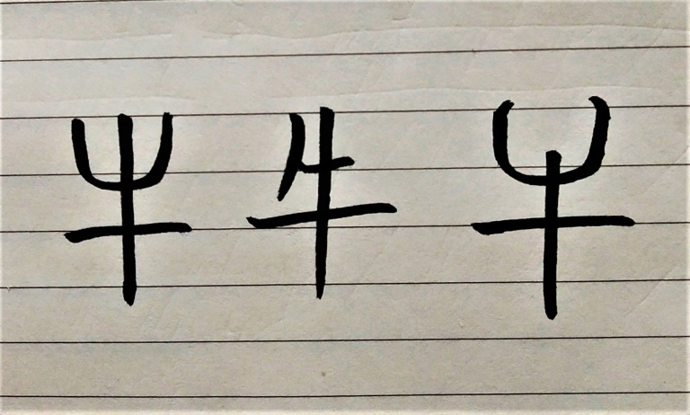 Let’s learn the Chinese character for ox (牛) in the Year of the Ox ...