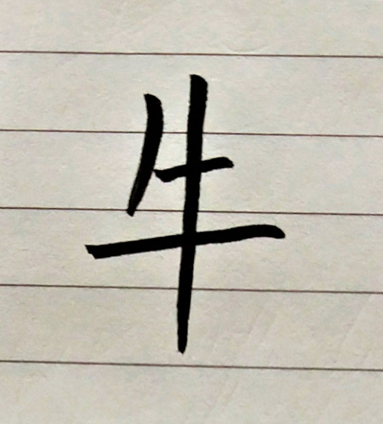 Let’s learn the Chinese character for ox (牛) in the Year of the Ox ...